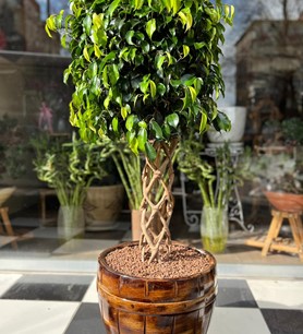 ÜRÜNLER | DenizAtı Flowers